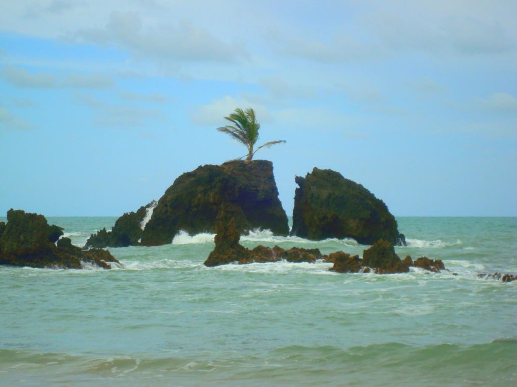 Praia de Tambaba e o naturismo em Tambaba | Te Vejo Pelo Mundo