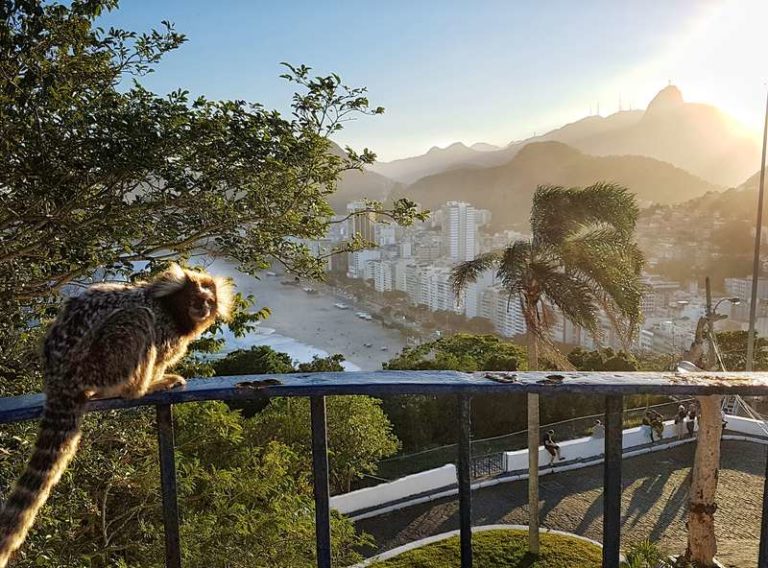 Forte do leme e sua vista incrivel de Copacabana | Te Vejo Pelo Mundo