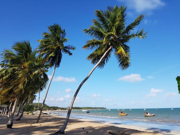 Japaratinga e suas belezas naturais: Dicas e fotos | Te Vejo Pelo Mundo