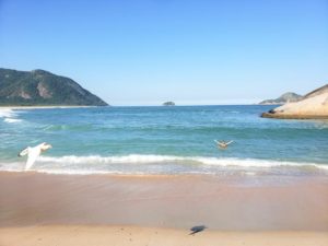 Praia de Grumari: Uma das melhores praias do Rio de Janeiro | TVPM